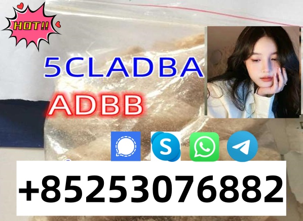 5CL-adb ADB 6cladb 4CLADB High-purity orange powder 2clmdma 4fadba 5CL ...