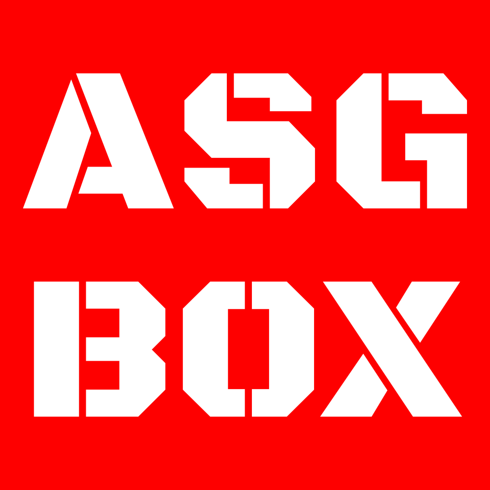 Sklep ze sprzętem Airsoft ASG box / WMASG.com - Airsoft binds us!